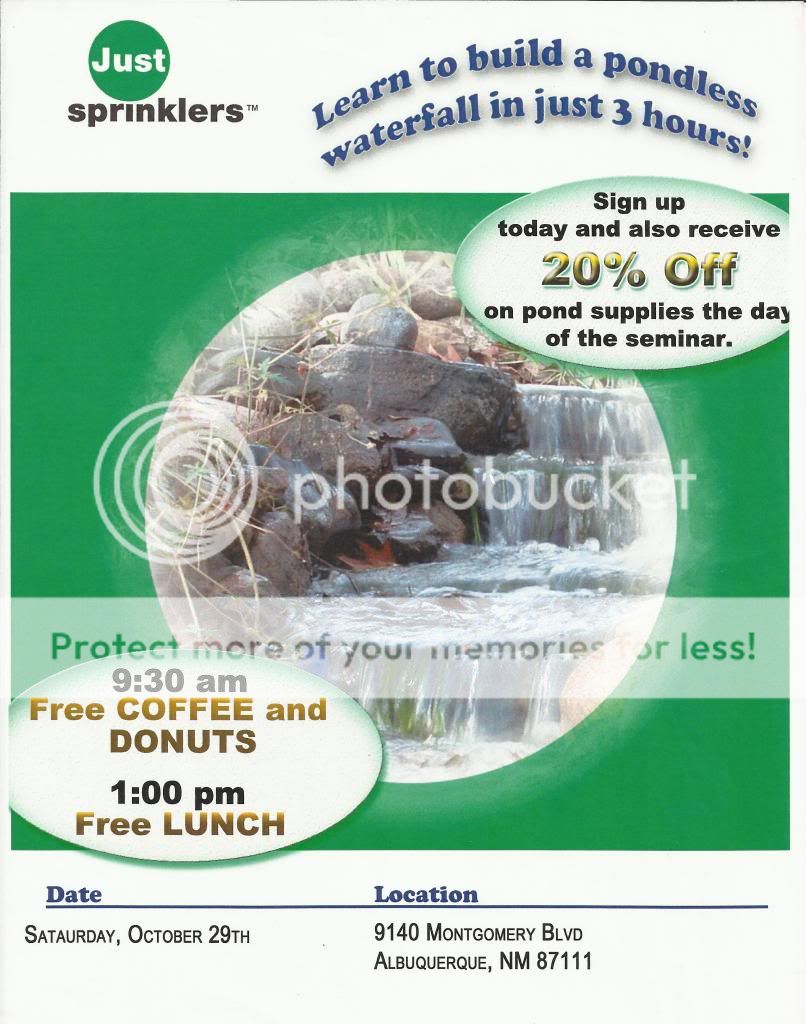 Brian Lucero - Entrepreneur | Artist | LinkedIn